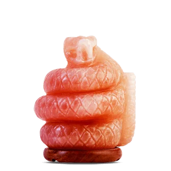 Snake Shape – TKS Naturals Ltd